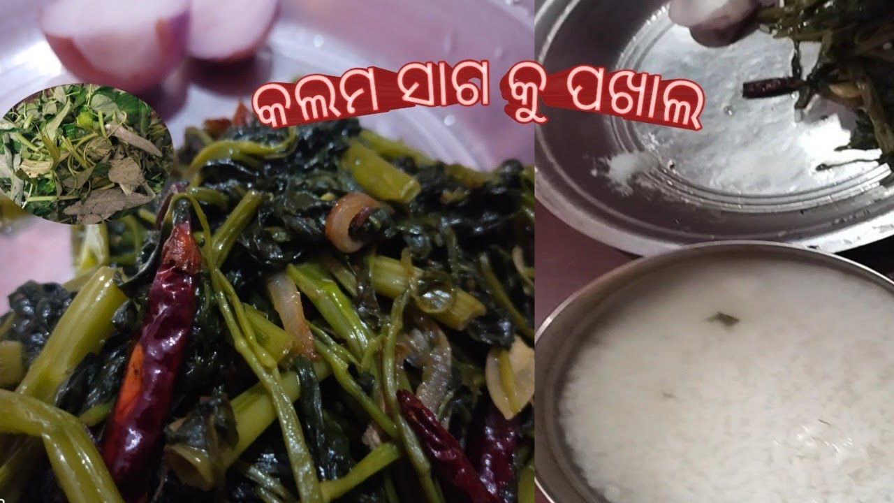 କଲାମ ସାଗ କୁ ପାଖାଲା kalam saga ku pakhala Kalam added to the saga# ...