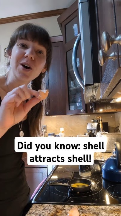 Tips and Tricks - shell attracts shell! - YouTube