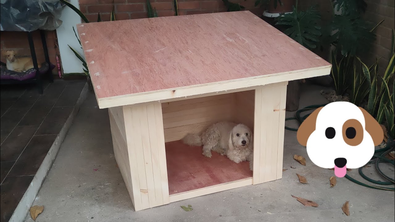 Casa para Perro muy fácil de hacer 🐶🐕 - YouTube