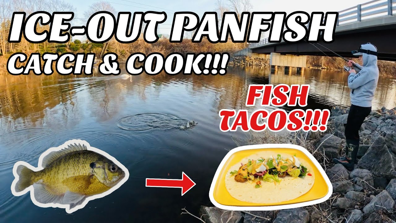 ICE-OUT Panfish CATCH & COOK!!! - Our Favorite FISH TACO Recipe ...