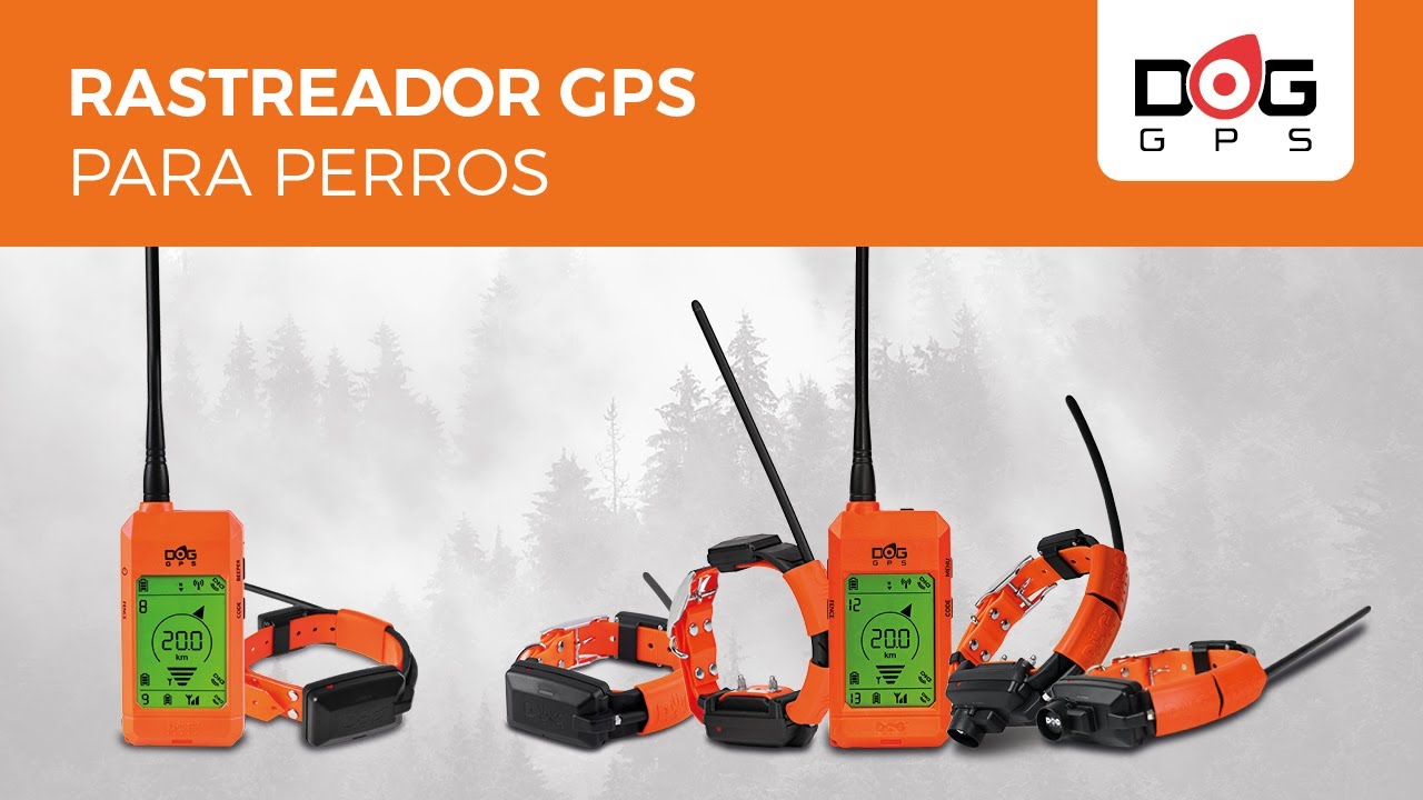 Rastreador GPS para perros | Dogtrace - YouTube