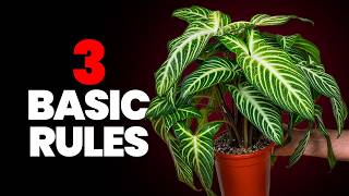 I Stopped Killing Plants As Soon As I Knew This