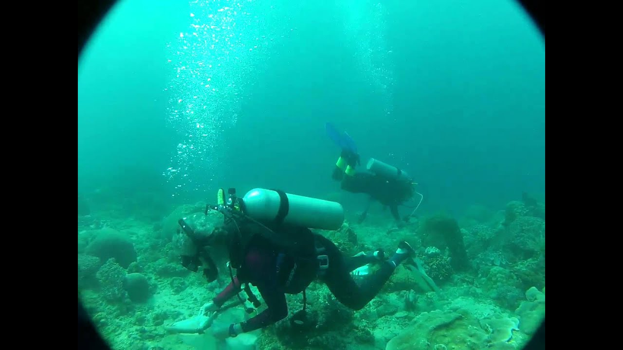 First Dive of the Timor-Leste Expedition - YouTube