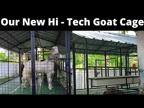 Hi-Tech Goat Cage/Hi-Tech ആട്ടിൻകൂട് - YouTube