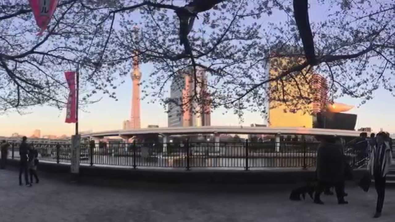 My Japan Trip In March (panorama Slideshow) - YouTube