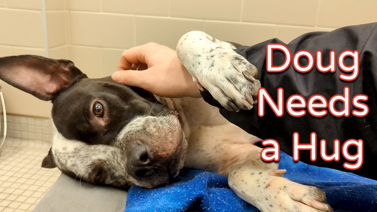 Doug Needs a Hug - YouTube