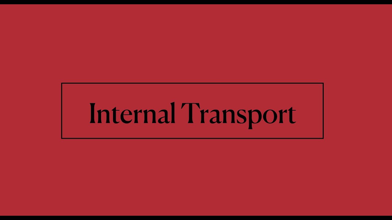 internal transport (classified Q1) IGCSE - YouTube