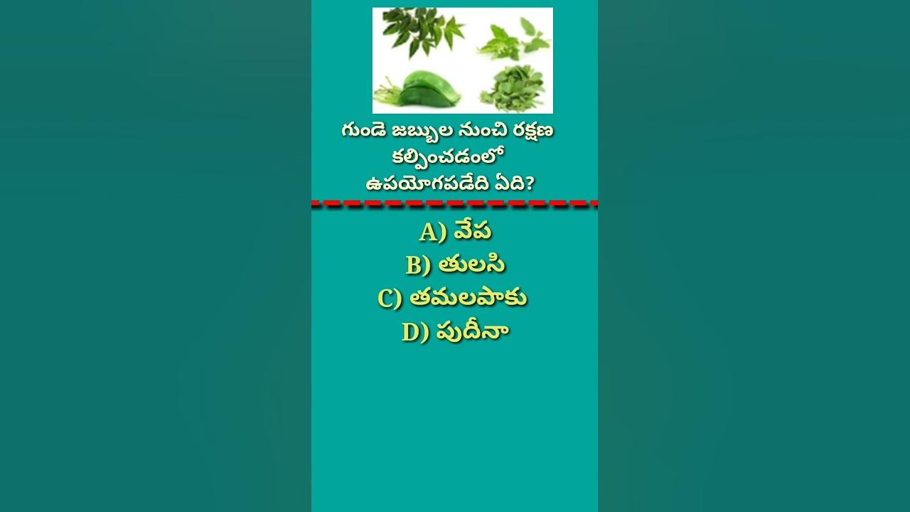 Interesting Questions And Answers In Telugu 0036 YouTube interesting-questions-and-answers-in-telugu-0036-youtube