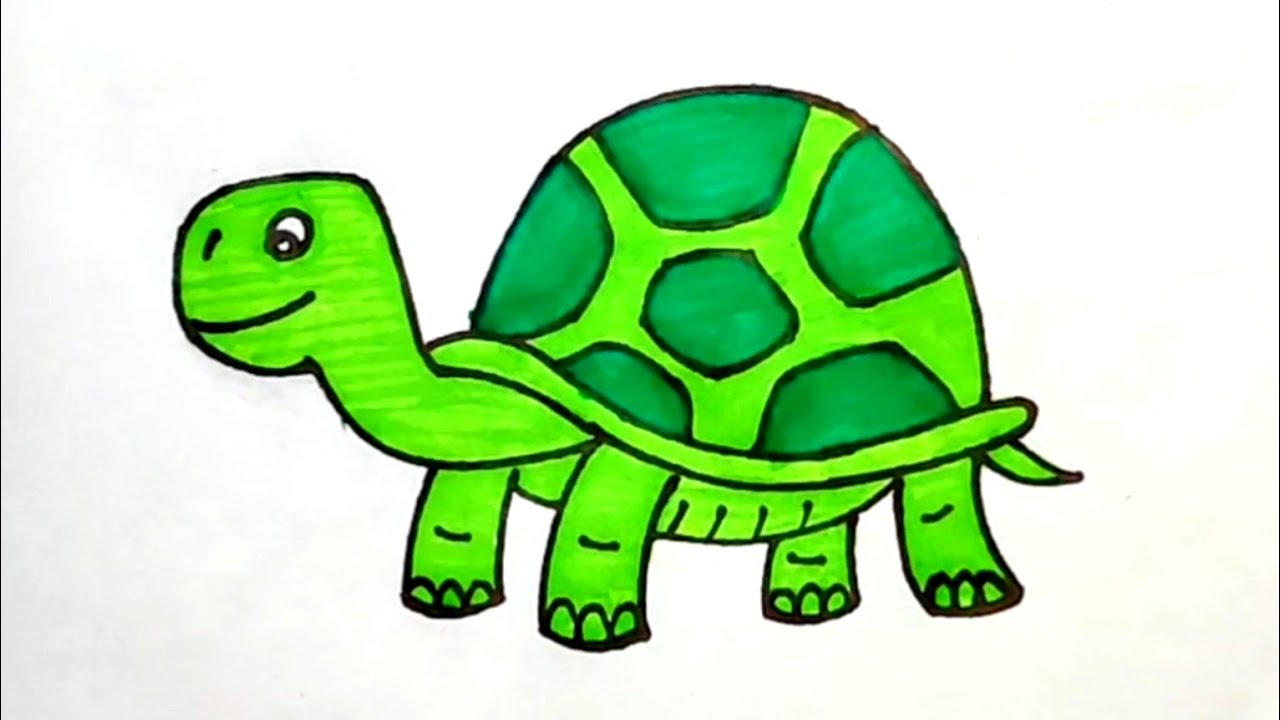 1 मिनट में Tortoise Drawing || Tortoise colour Drawing || Colour Step ...
