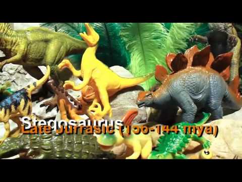 Dinosaur Collection My Dinosaur Collection Dinosaur Toy Collection ...