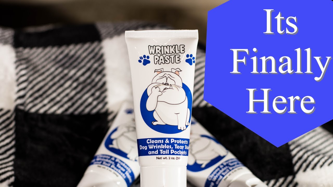 Bulldog Wrinkle Paste, Check Out These AMAZING Results!!! - YouTube