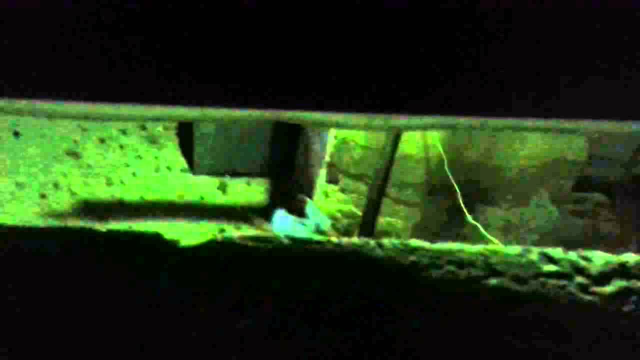 Jordanian Gendarme Caught Helping Jordanians Against Palestinians in ...