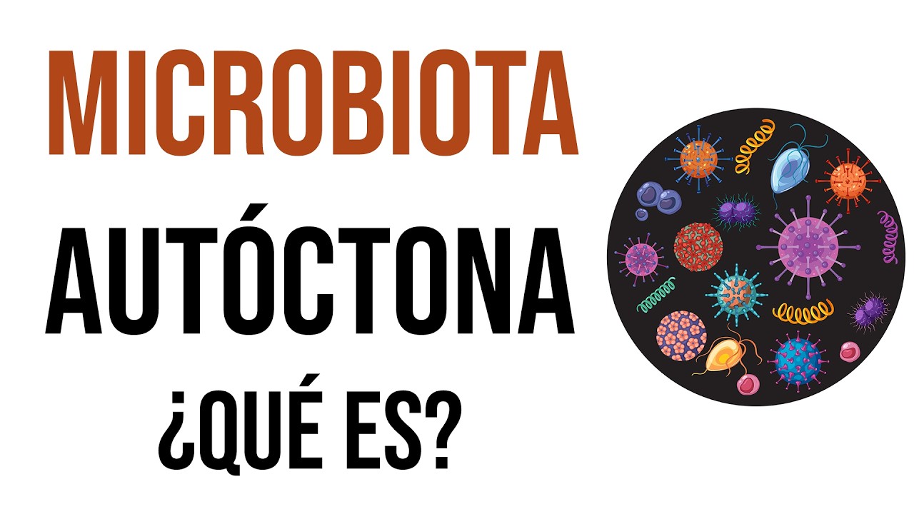 La Microbiota Autóctona: su papel esencial en el Sistema Inmune - Mar ...