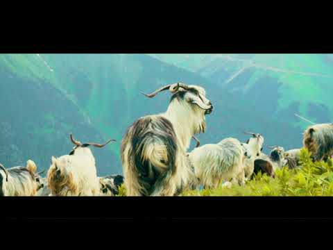Çaykara Tanıtım Filmi