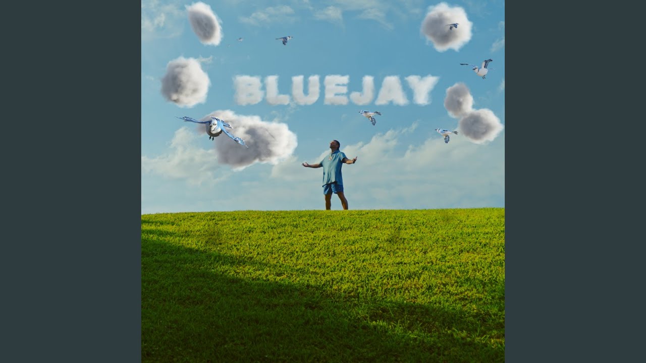 Bluejay - YouTube