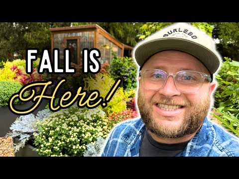 A Rainy Fall Day in the Garden 🍂 | Transforming My Raised Beds