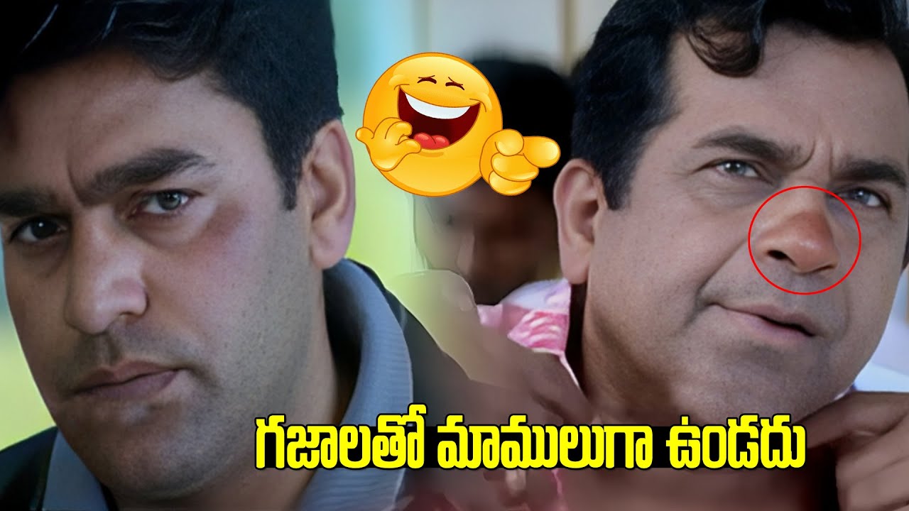 Venky Movie Comedy Scenes | Brahmanandam Comedy Scenes | Latest Movies ...