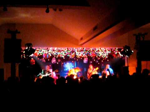 The Radiators, Creepin Vine, Hold Back the Flood, Palombaro Club ...