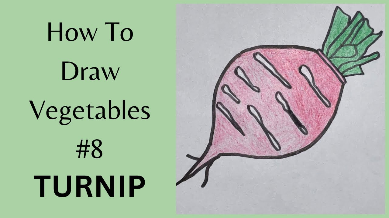 How To Draw Turnip Vegetables || Vegetables Series #1 | Art Studio # ...