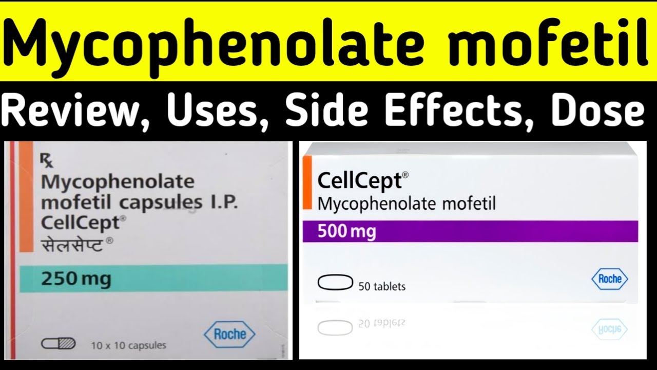 Mycophenolate Mofetil 500 mg in hindi - Cellcept 500mg tablet - Uses ...
