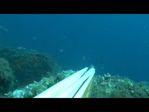 Ψαροντουφεκο-spearfishing s01e05 Συναγριδα 5 kg 👑🐟 σε μεγαλο καρτερι 💥 ...