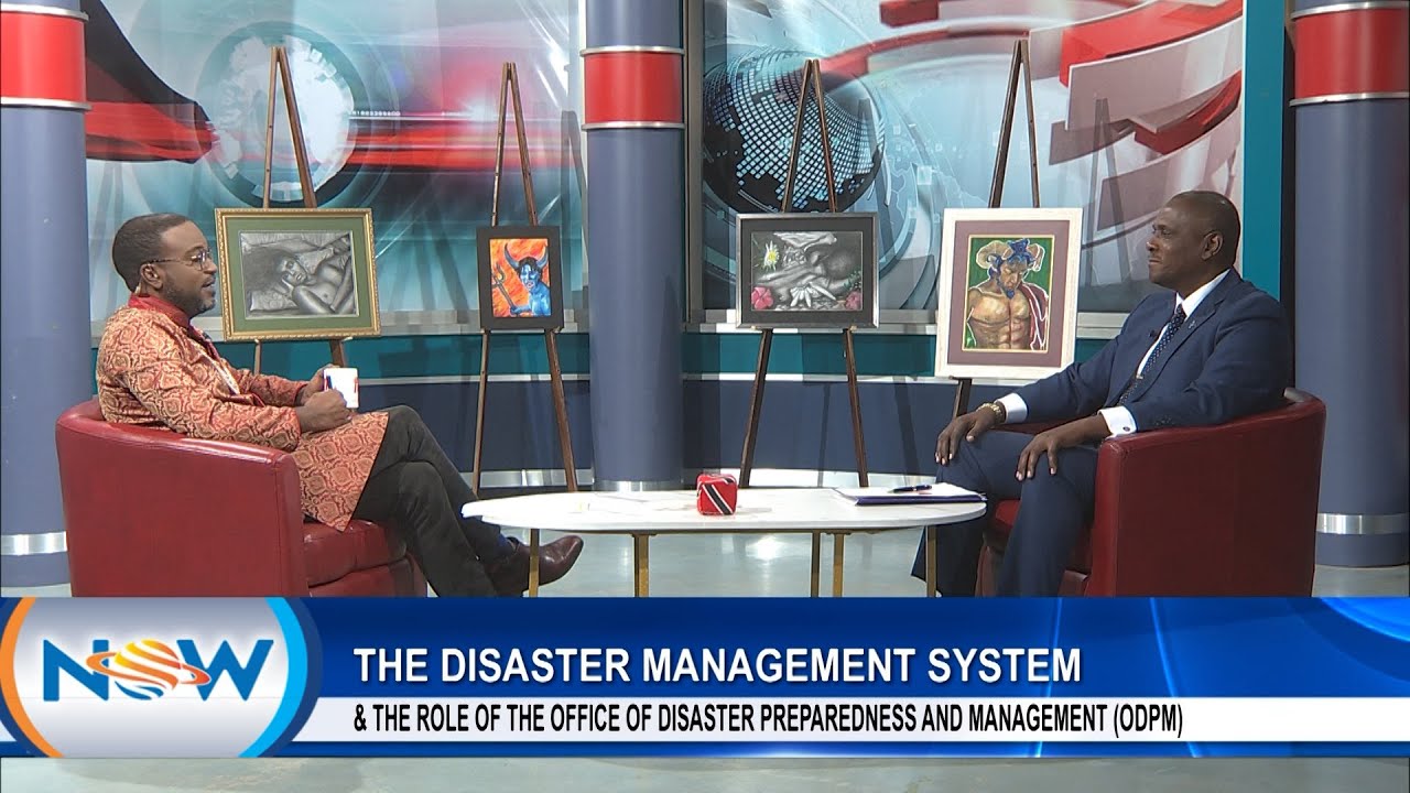 The Disaster Management System And The Role Of The Office Of Disaster ...