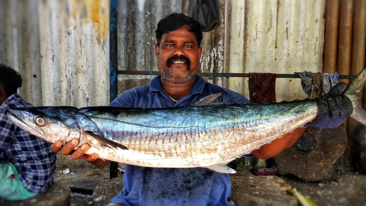 KASIMEDU🔥KING FISH CUTTING BY CHEETAH DURAI/KASIMEDU FISH CUTTING ...
