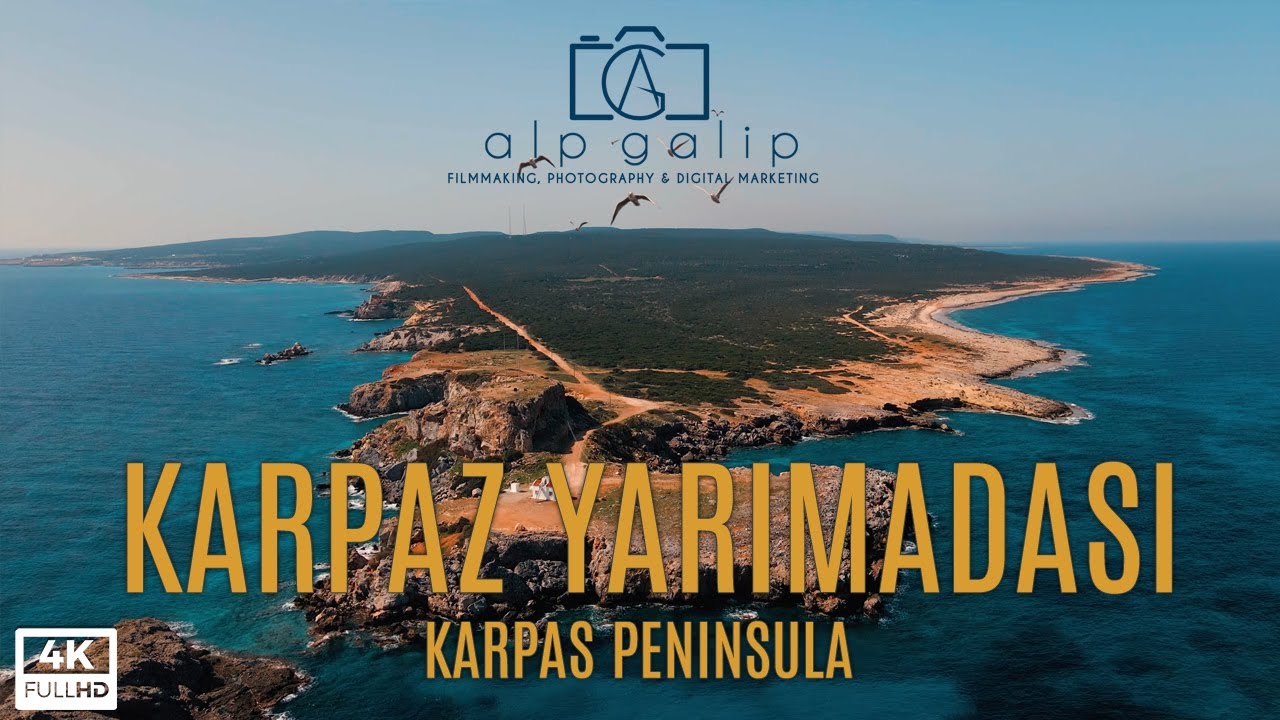 Karpaz North Cyprus | Karpas Golden Beach & Cyprus donkey - YouTube