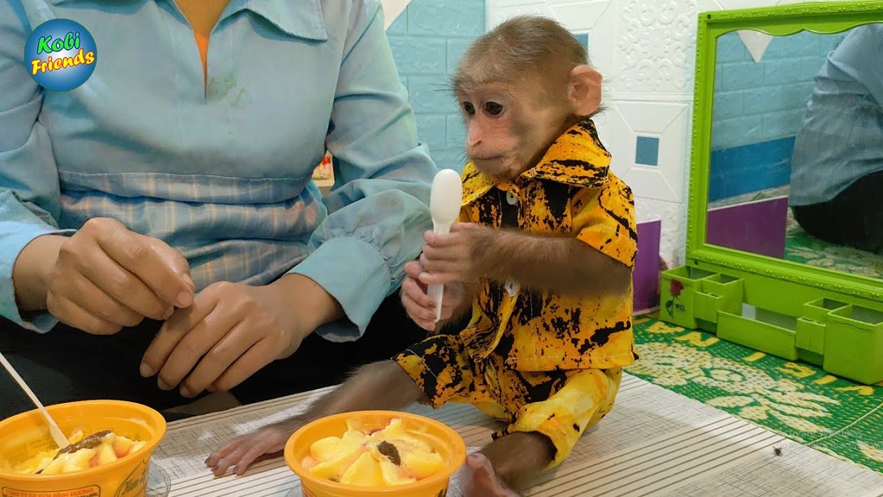 Smart Monkey Kobi learn to use spoon eating yogurt - YouTube