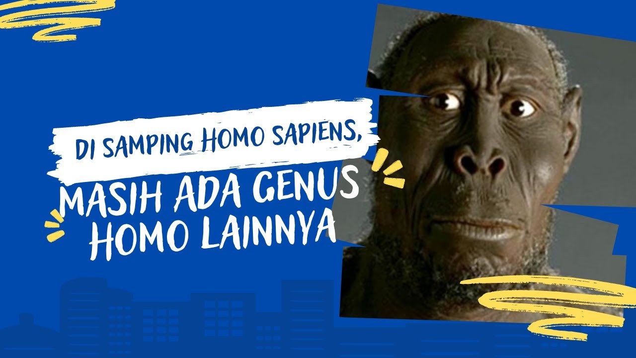 15 Spesies Manusia Purba dari Genus Homo #manusiapurba #genushomo # ...