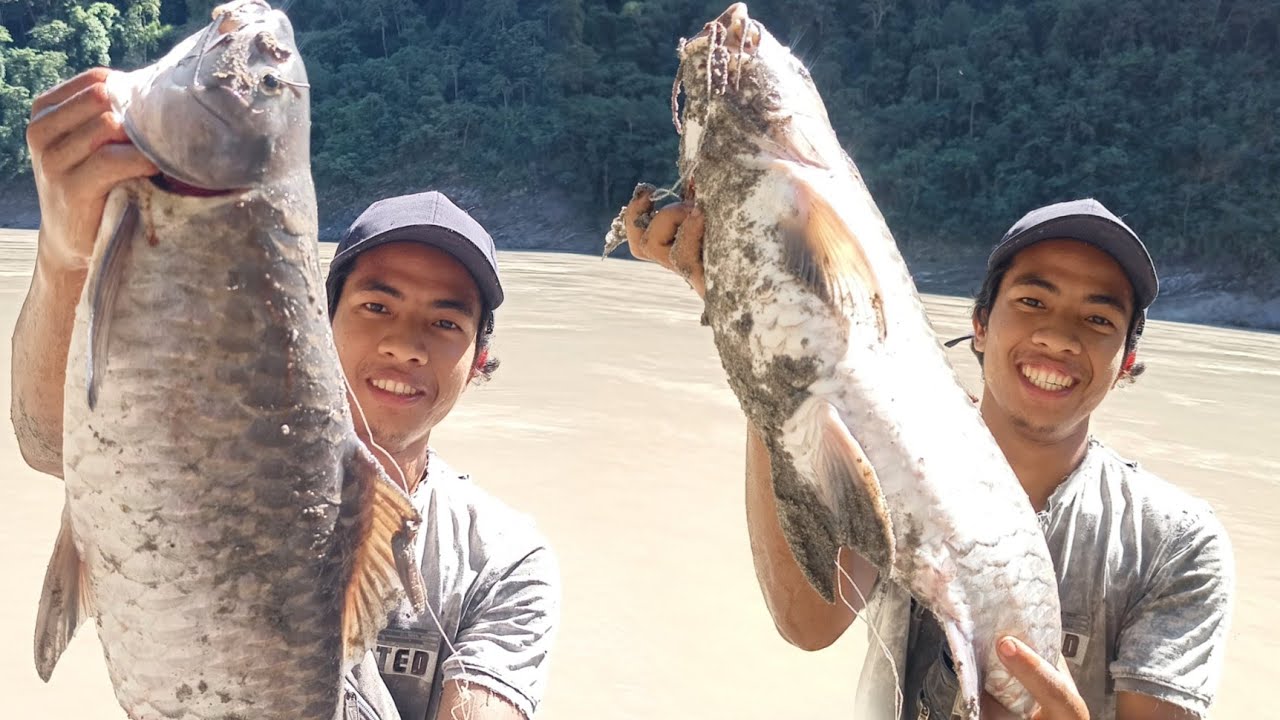 Cought Giant Mahseer Fish | Cook & Eat | Arunachal Pradesh!!! - YouTube