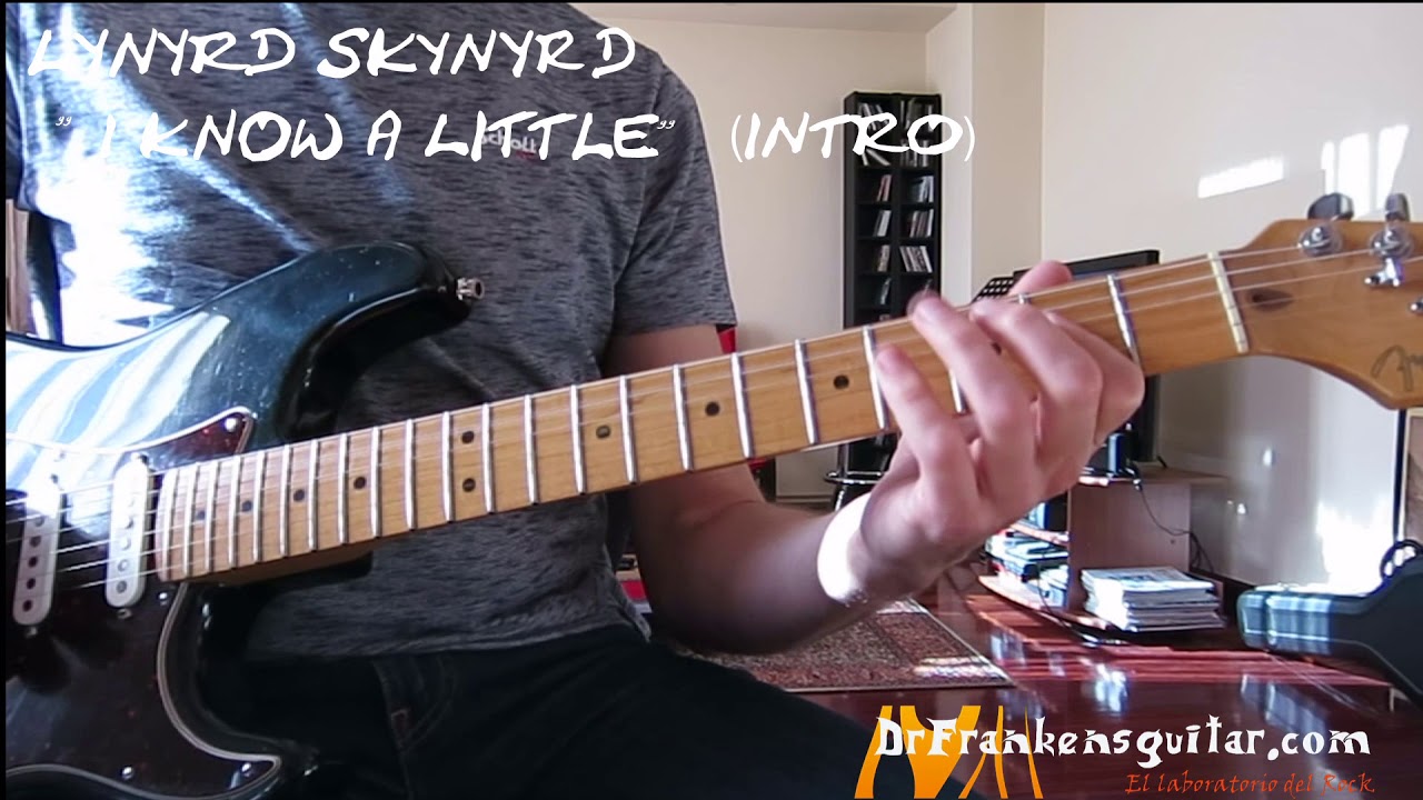 LYNYRD SKYNYRD - I know a little (intro) GUITAR COVER - YouTube