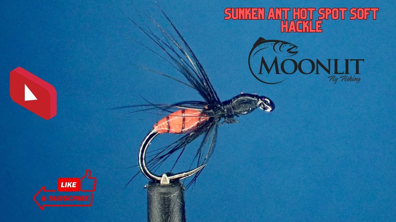 Expert Guide to Sunken Hot Spot Ant _Soft Hackle Fly Tying Tutorial - YouTube
