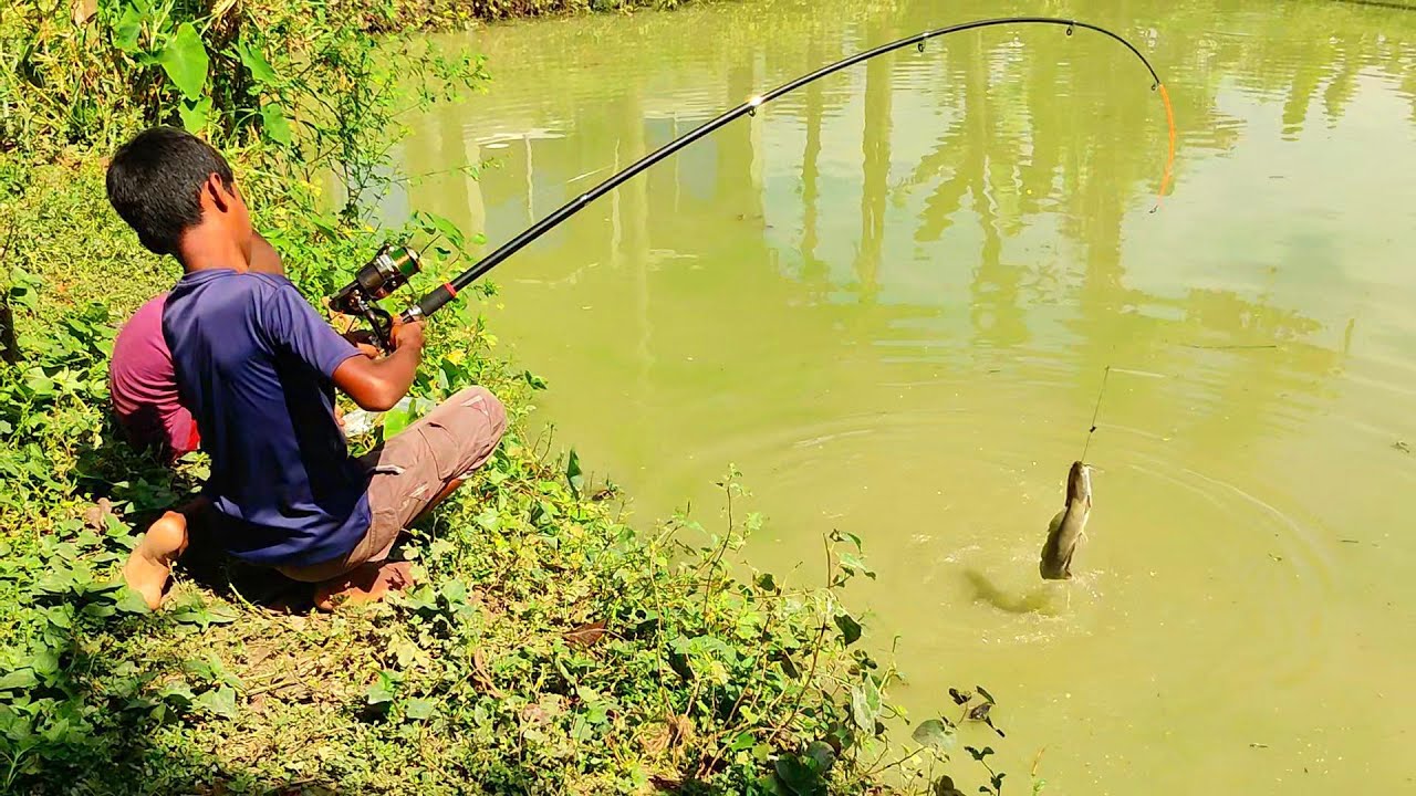 Fish Hunting | Hook Fishing | Catfish Fishing | Fishing Rod | Fishing ...