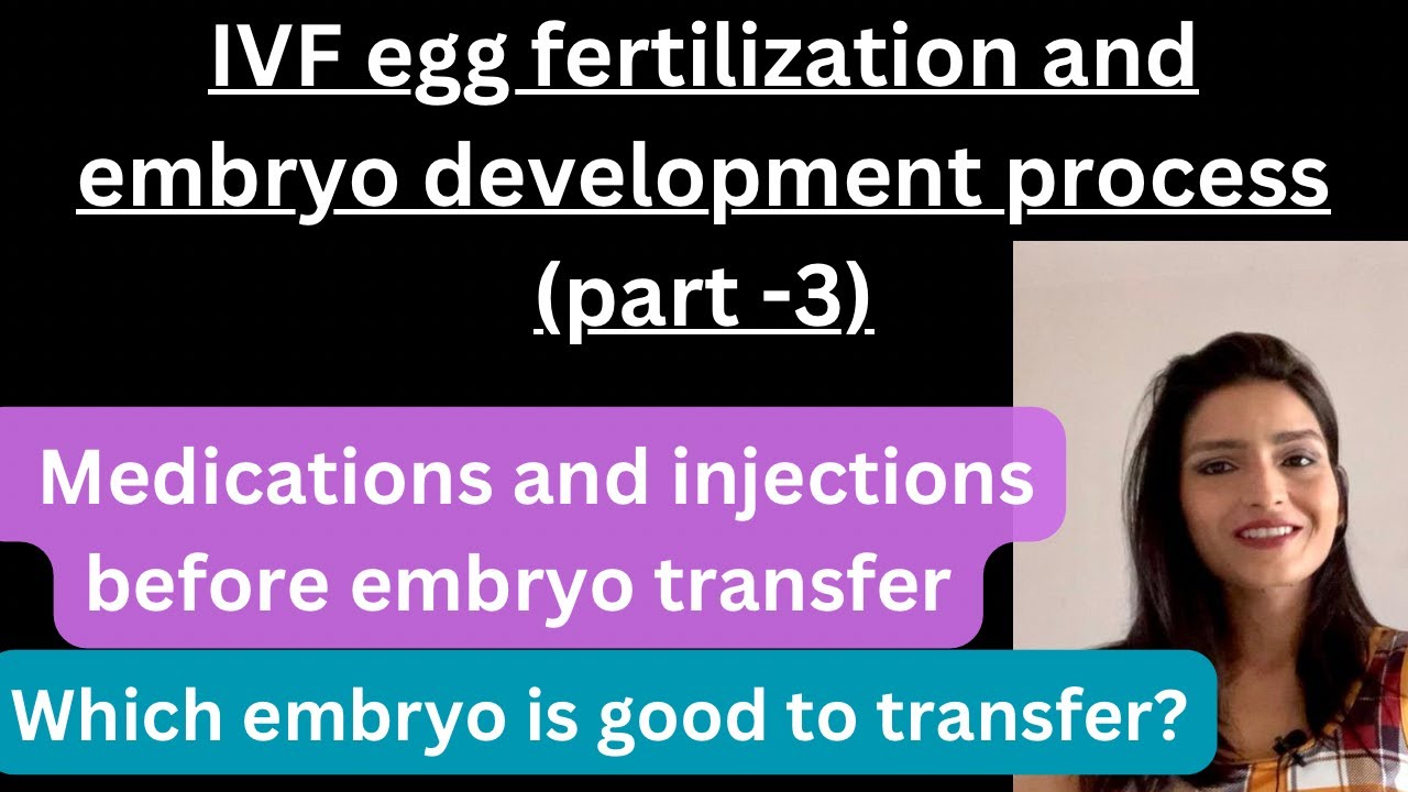 IVF egg fertilization and embryo development process|Which embryo is ...