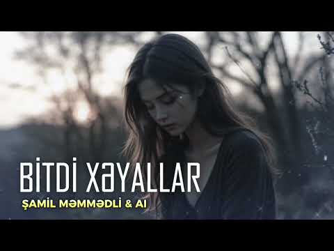 Bitdi Xəyallar & Şamil Məmmədli - AI Music 2026 