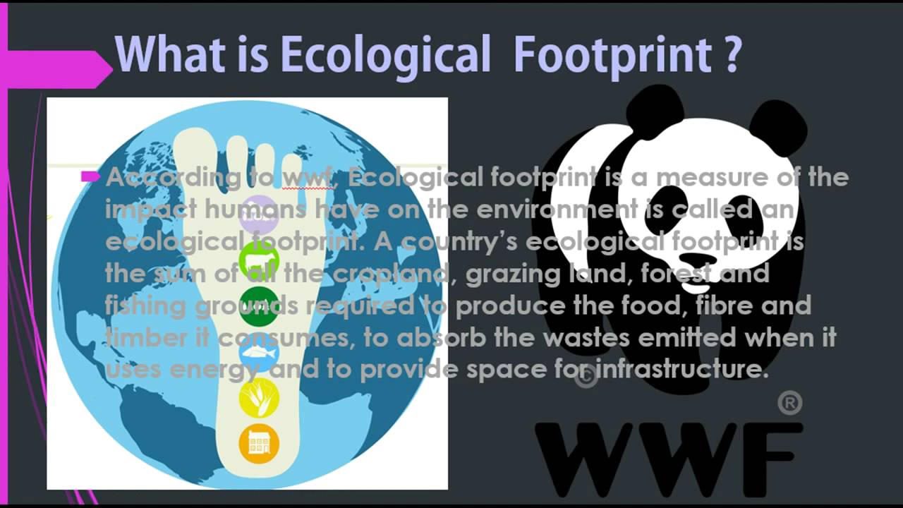 Chung Chyi Choon 0326744 Videologue 1 - YouTube