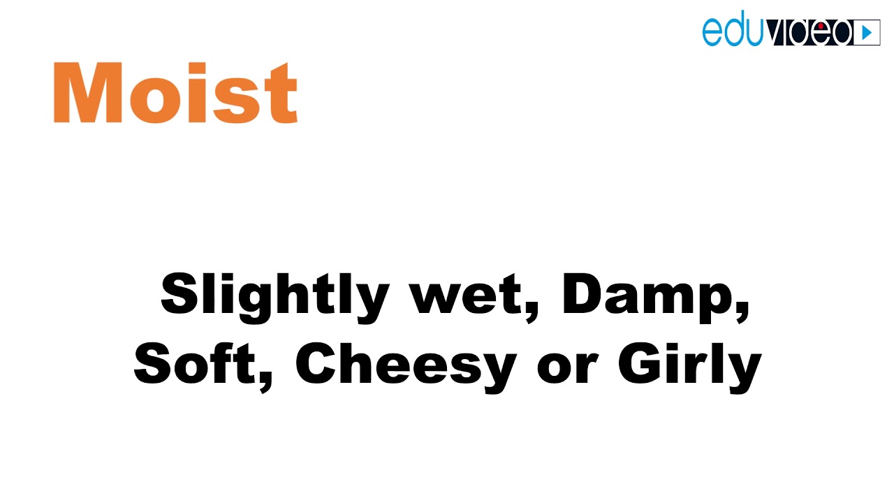 Moist YouTube moist-youtube