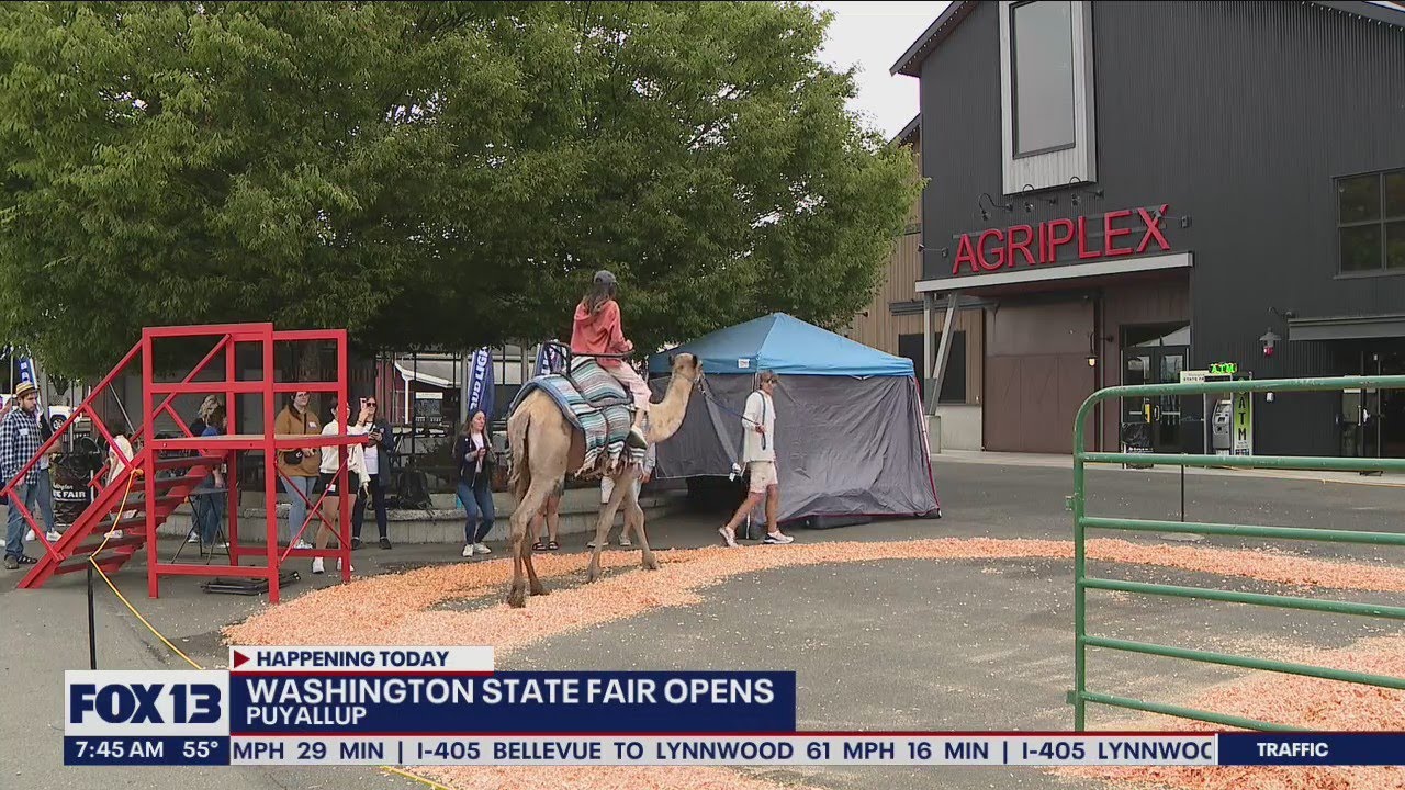 Washington State Fair opens this weekend (Part II) | FOX 13 Seattle ...