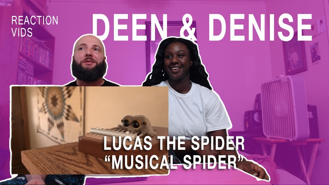 Lucas The Spider "Musical Spider" - Deen & Denise Reaction - YouTube
