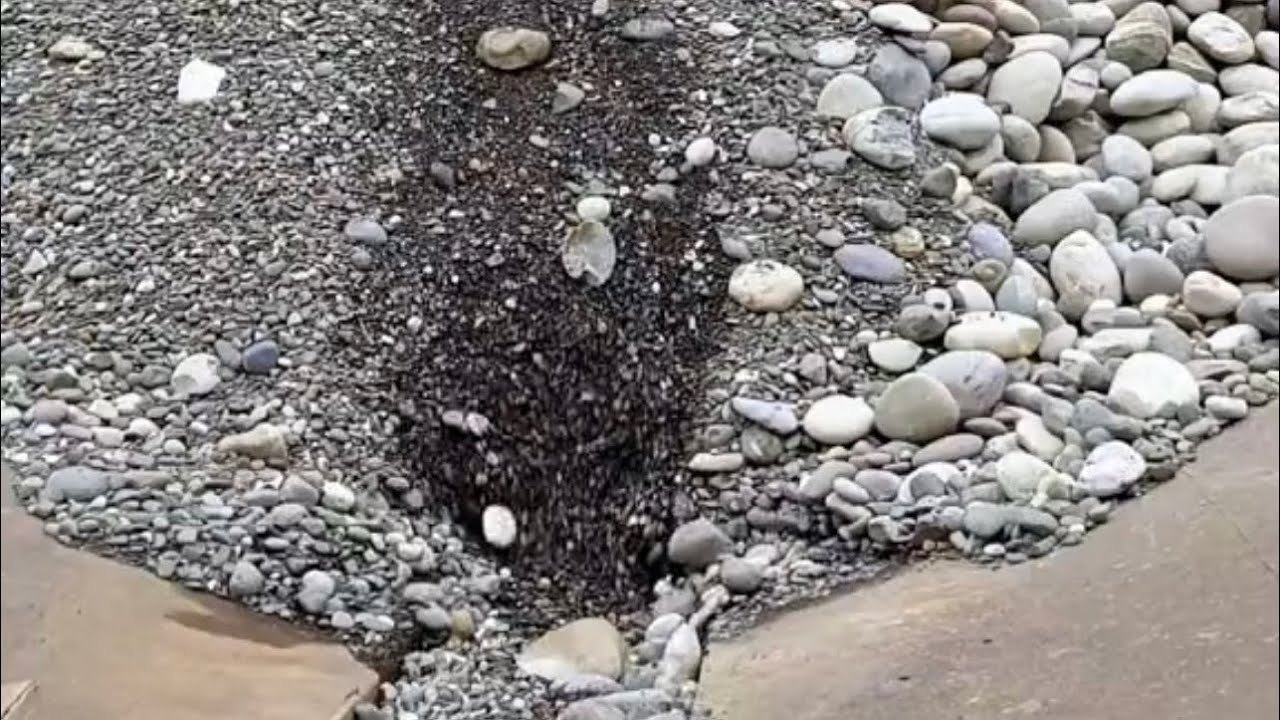 Barge unloading 3000 tons of large cobblestone - relaxing video, my ...