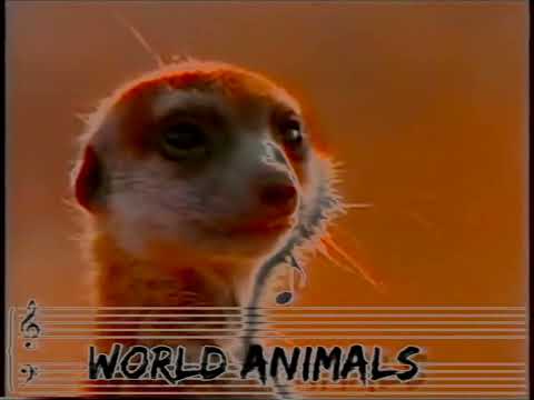 The World Animals Song in G-Major 4