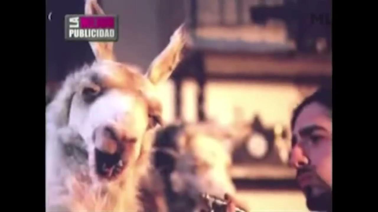 ¿Cómo se hizo La llama que llama? - YouTube