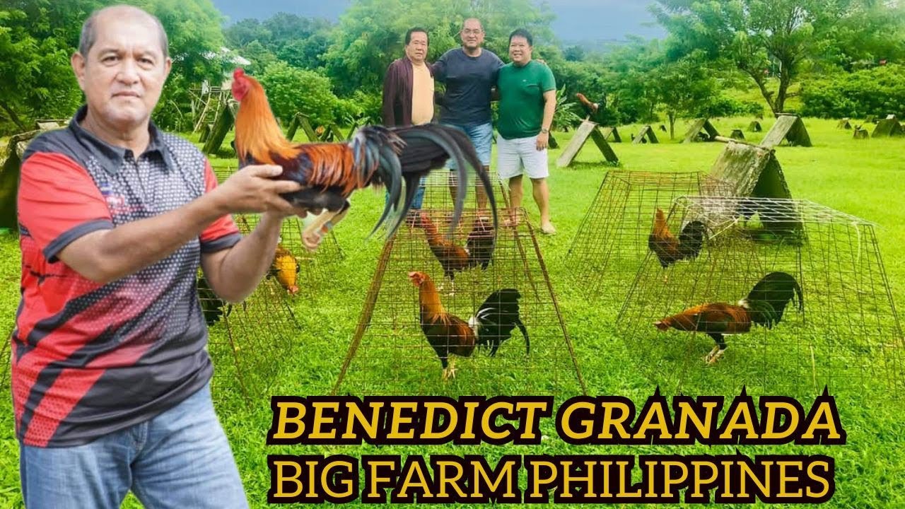 Benedict Granada Big Farm Philippines - BASTI FARM - YouTube