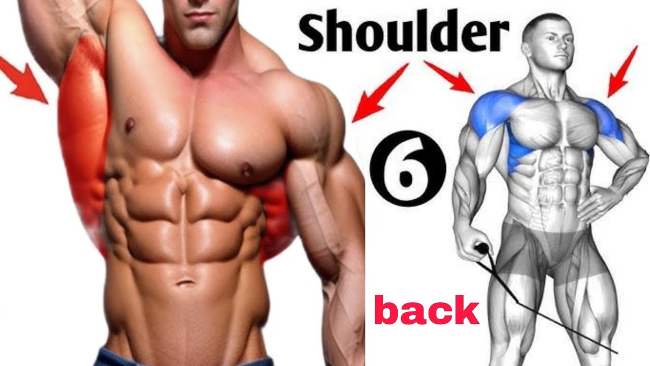 shoulder workout /upper body workout home workout back and shoulder ...
