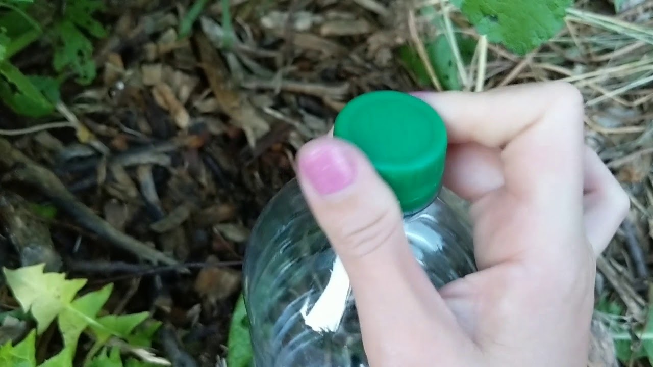 Slug Trap that works!! reusing plastic bottles - YouTube