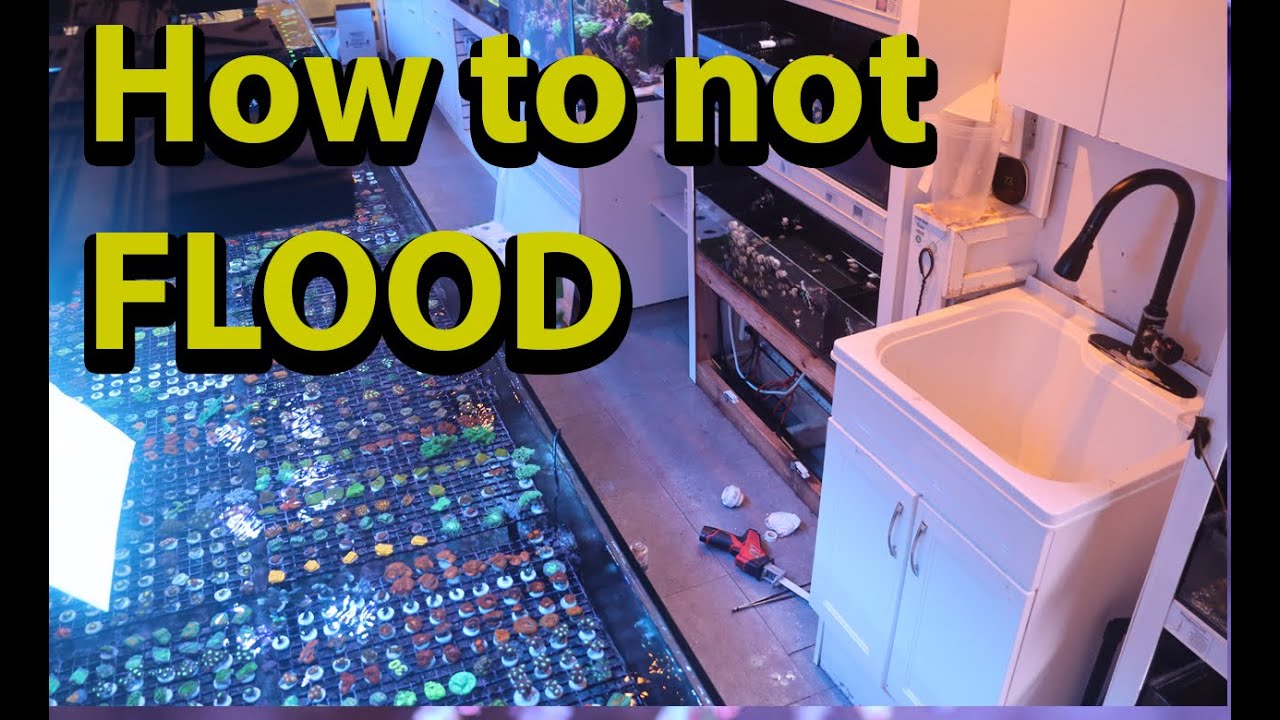 How to NOT flood your aquarium - YouTube