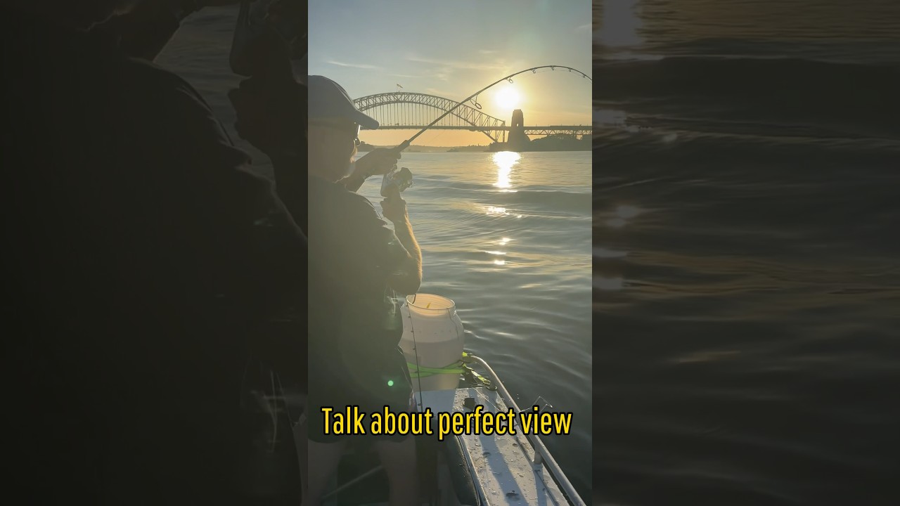 DECENT SIZE FISH AYE? 😳😎🫠#fishing #catch #sunset #fish #sydney # ...