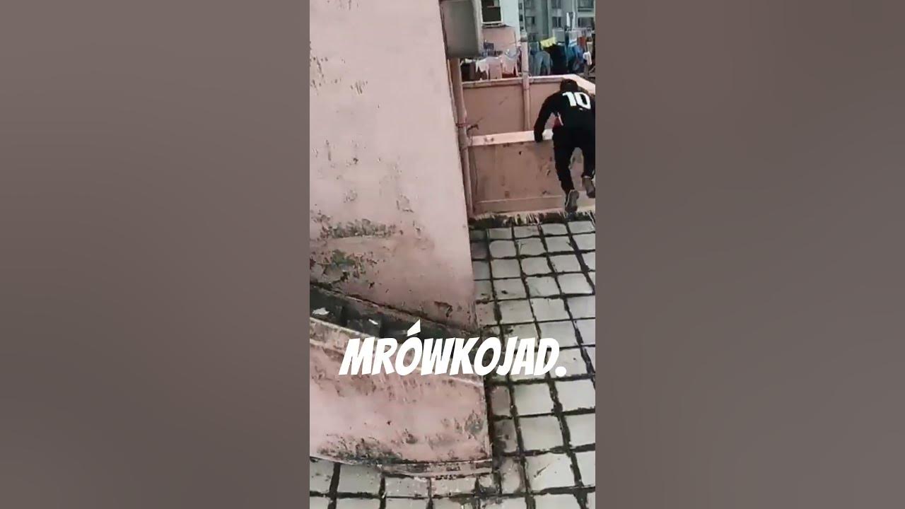 Śmieszny Żart Shorts Youtube