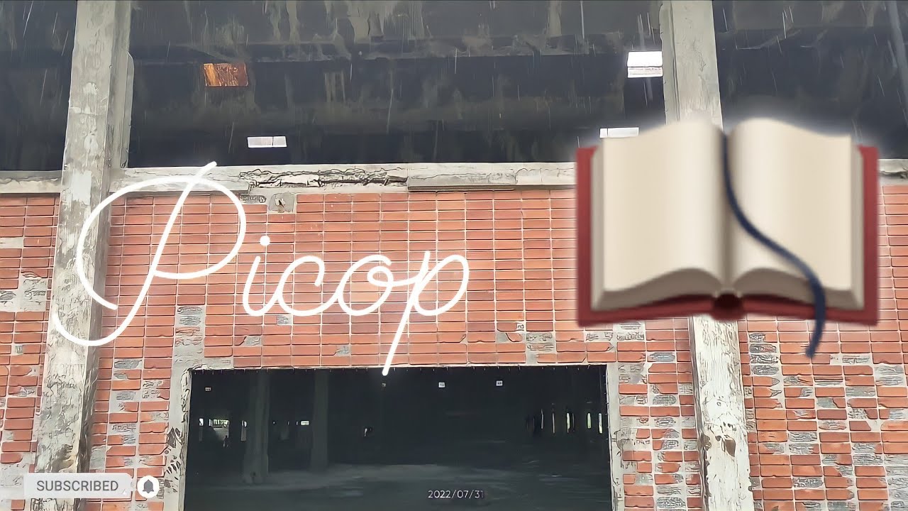 Picop Plywood 1 & 2 | 20220731 - YouTube